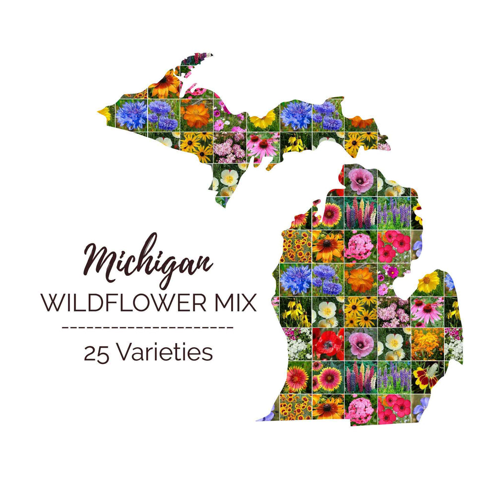 Bulk Michigan Wildflower Seed Mix | Bulk Wildflowers