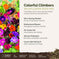 Bulk Colorful Climbers Flower Seed Mix | Bulk Wildflowers
