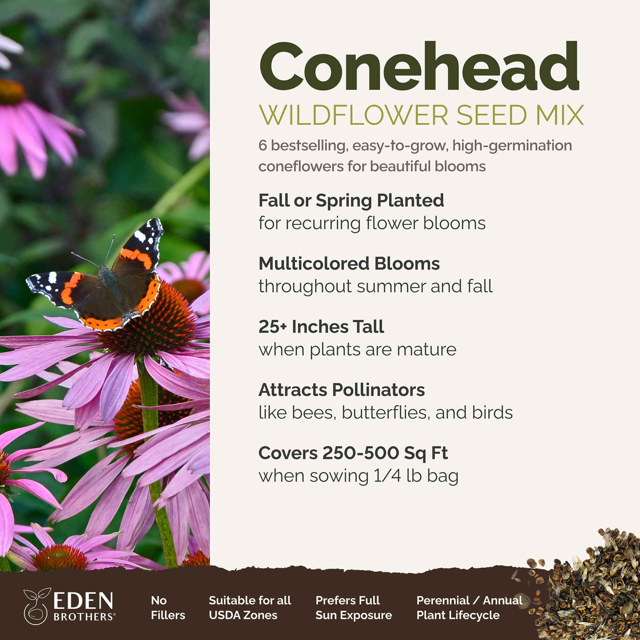 Bulk Conehead - Coneflower Seed Mix | Bulk Wildflowers