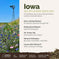 Iowa Wildflower Seed Mix | Bulk Wildflowers