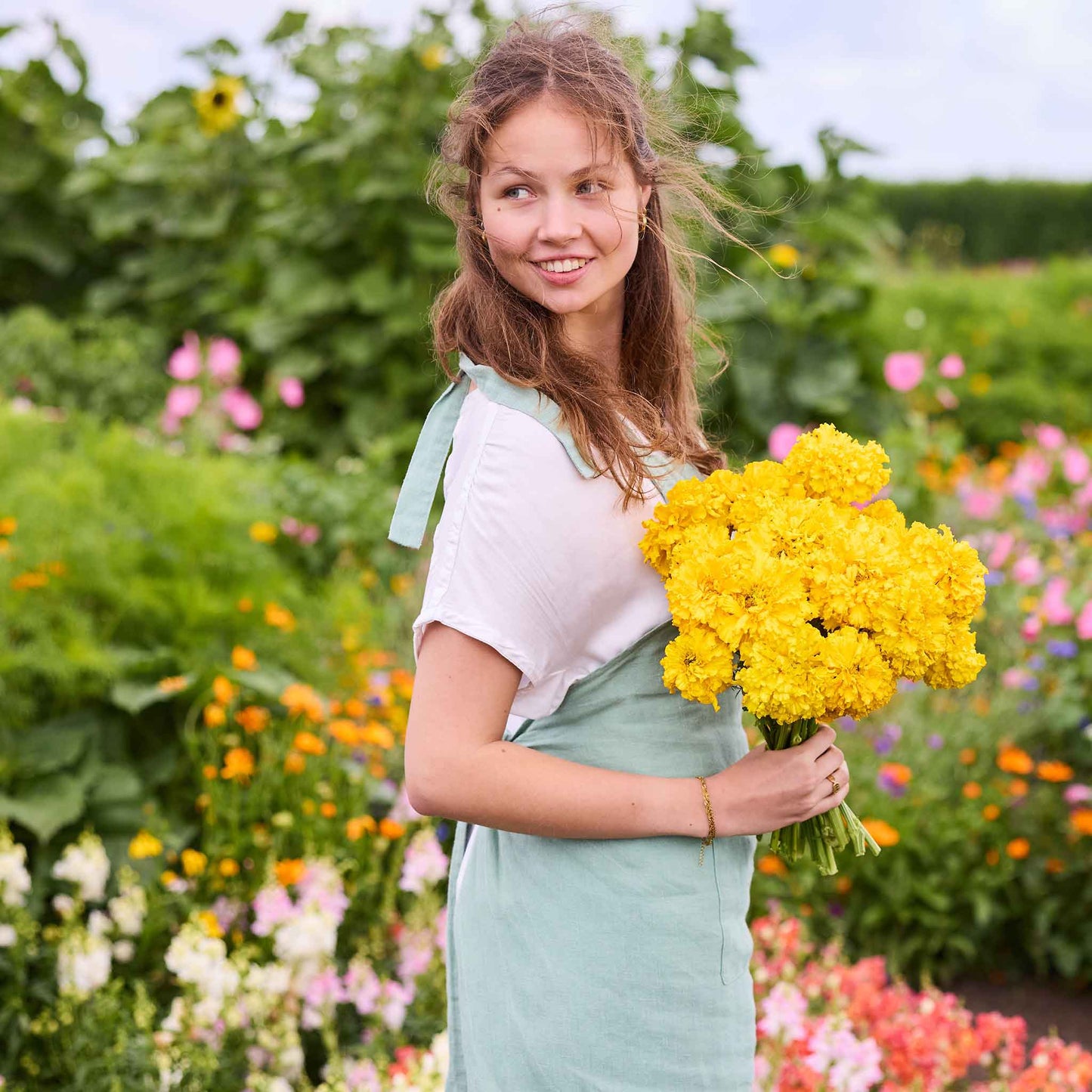Bulk African Marigold Seeds - Smiles | Bulk Wildflowers