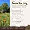 Bulk New Jersey Wildflower Seed Mix | Bulk Wildflowers