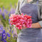 Bulk Sweet Pea Seeds - Prince of Orange | Bulk Wildflowers
