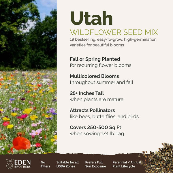 Utah Wildflower Seed Mix | Bulk Wildflowers