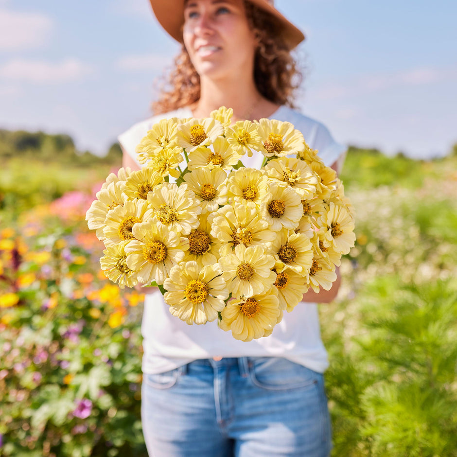 Bulk Zinnia Seeds | Buy in Bulk – Bulk Wildflowers